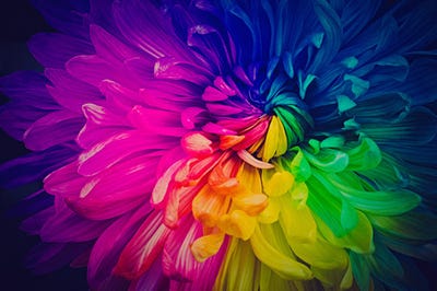 About The Firm | Dechert LLP