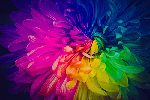 About The Firm | Dechert LLP